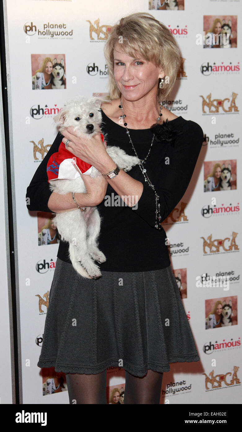 Las Vegas, Nevada, USA. 14th Nov, 2014. Radio/TV host Heidi Harris ...