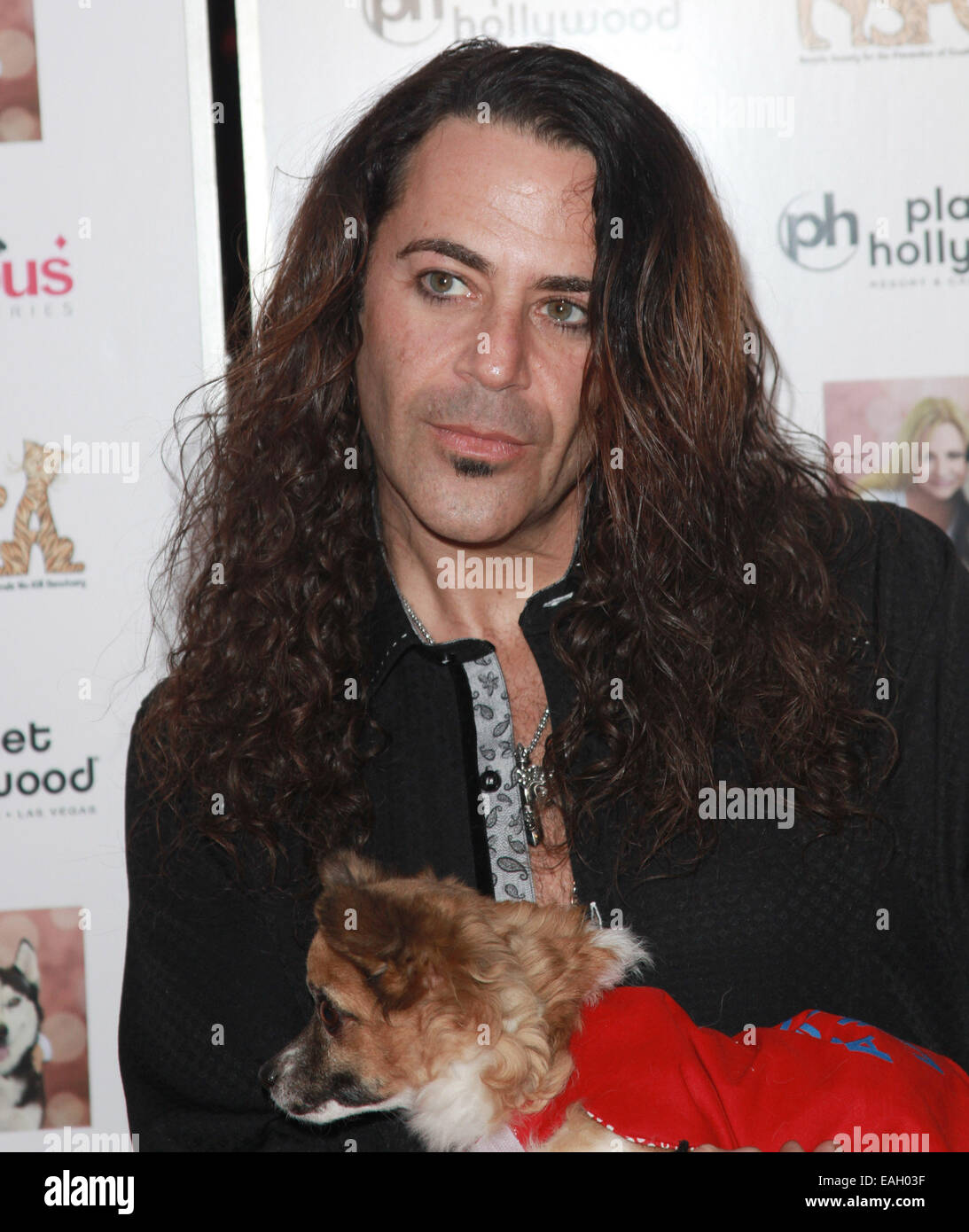 Las Vegas, Nevada, USA. 14th Nov, 2014. Musician Michael T Ross attends ...