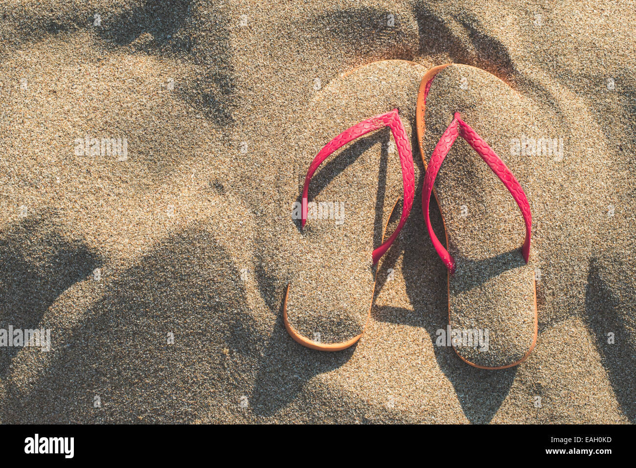 Pink sandals on the beach in the sand Stock Photo - Alamy