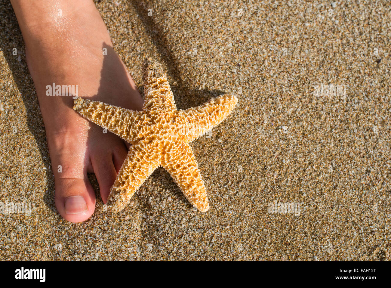 Feet beach waves hi-res stock photography and images - Alamy