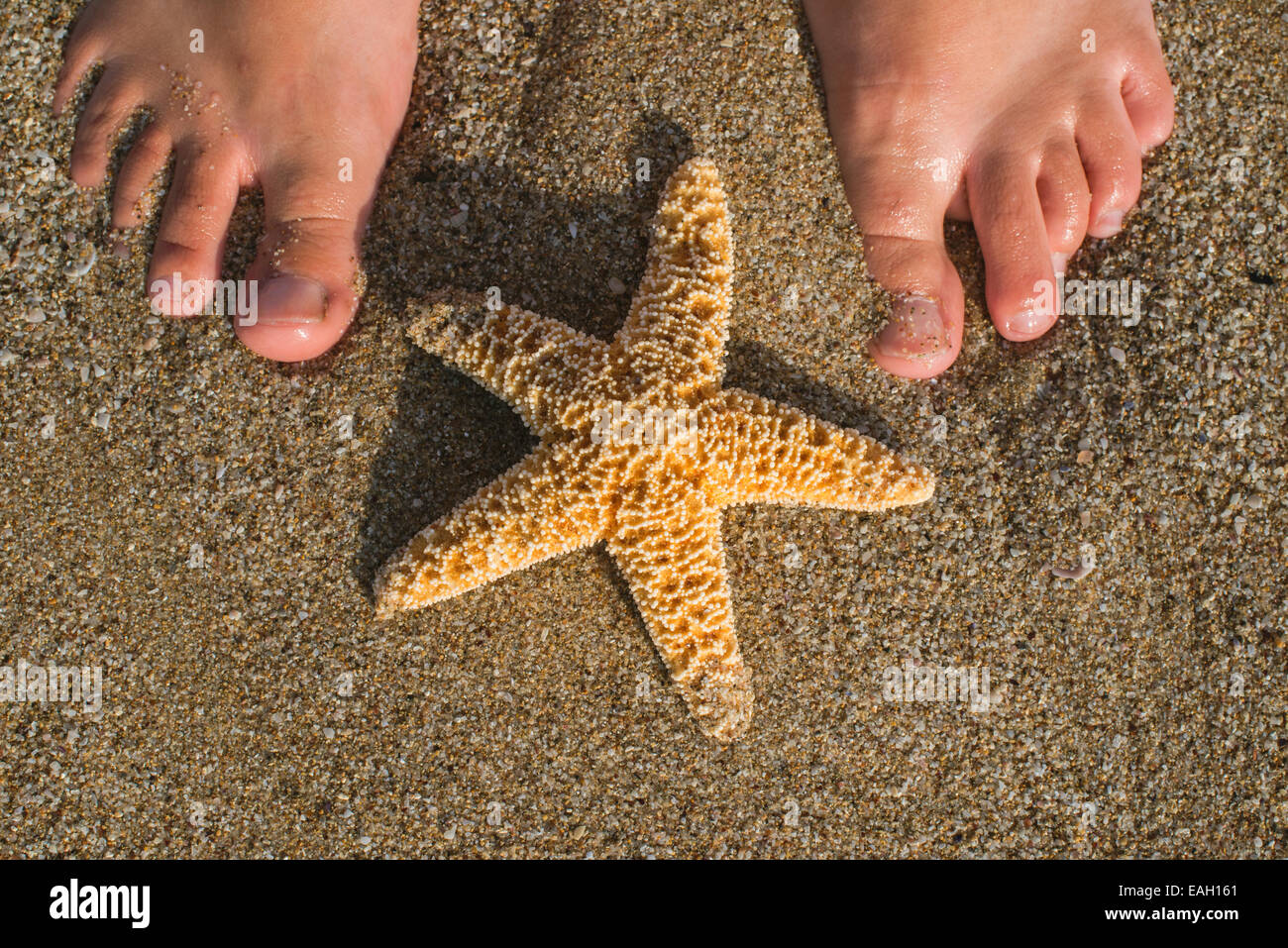 Starfish and feet on the beach. Sea waves Stock Photo - Alamy