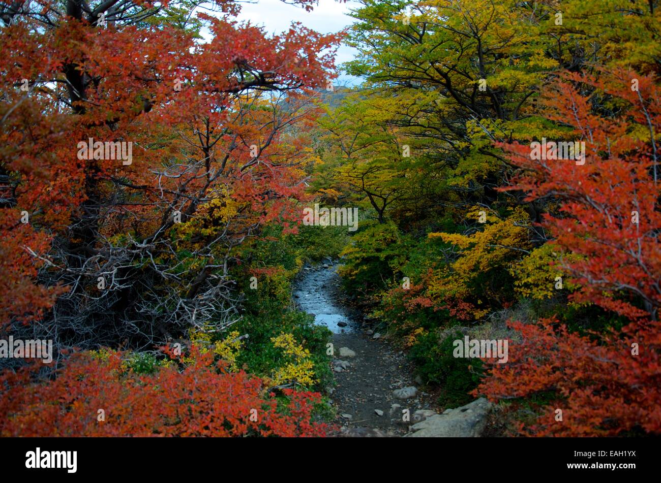 Fall in patagonia hi-res stock photography and images - Alamy