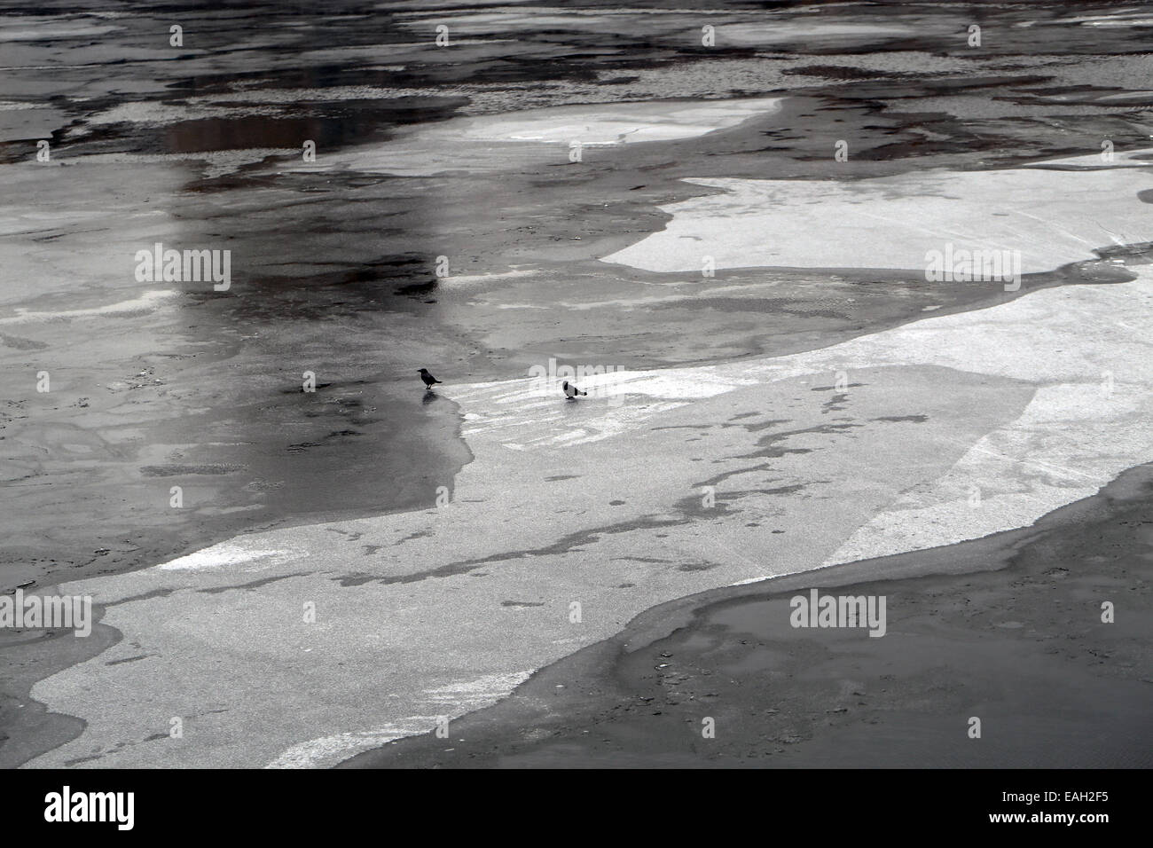 Ice floating on the river in winter Moscow in Russia Stock Photo - Alamy