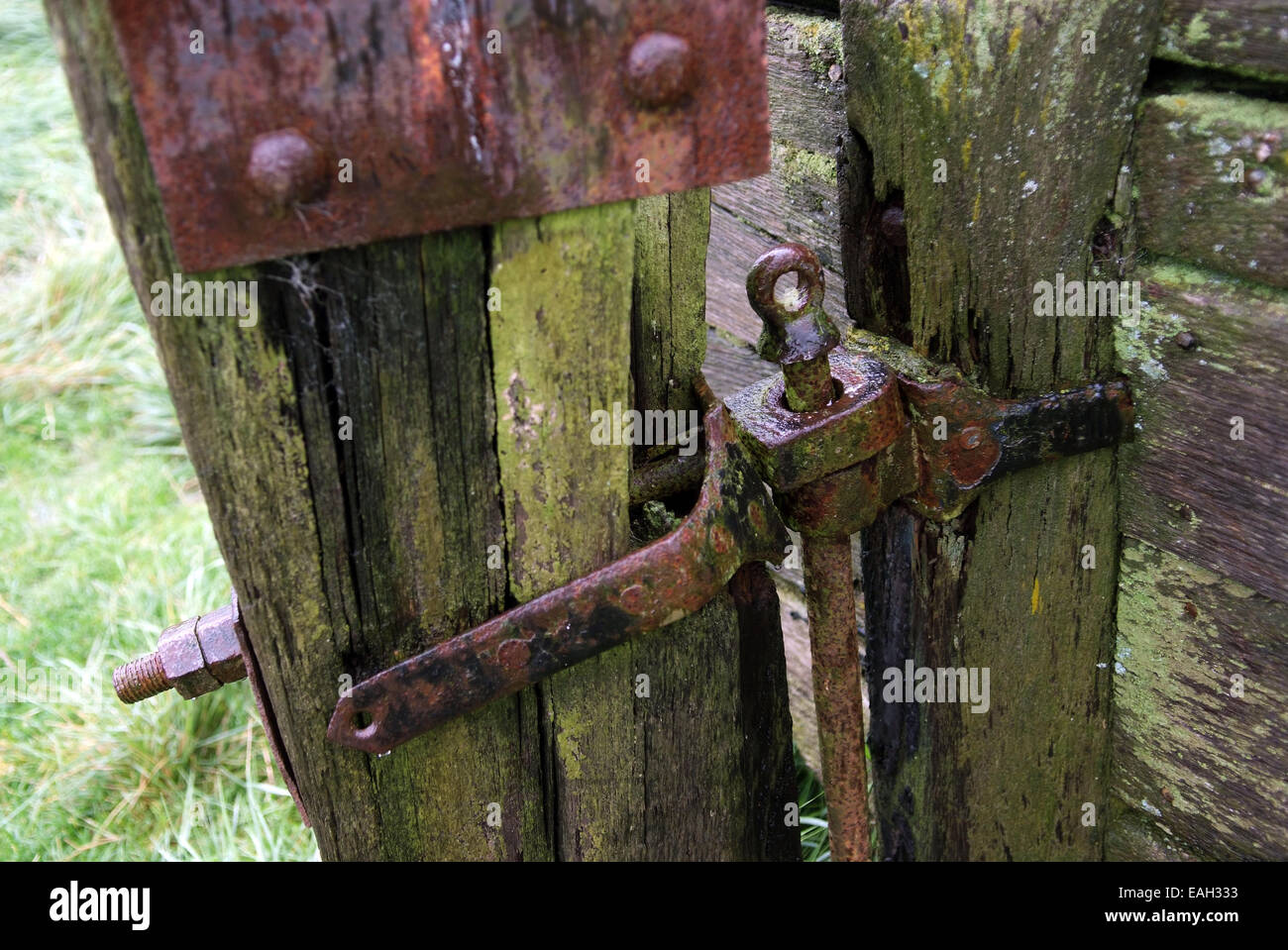 Purton Ships Graveyard, Gloucestershire, United Kingdom Stock Photo - Alamy