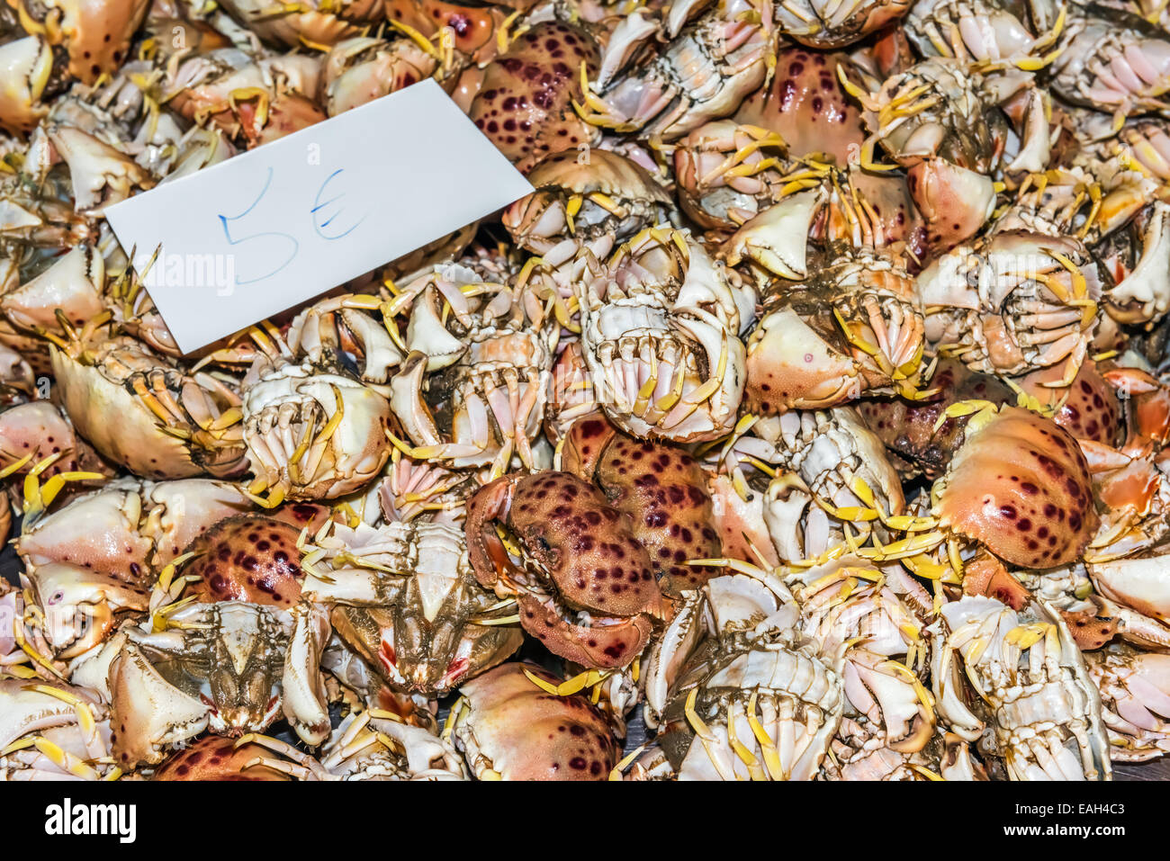 Crabes de pierre frais hi-res stock photography and images - Alamy