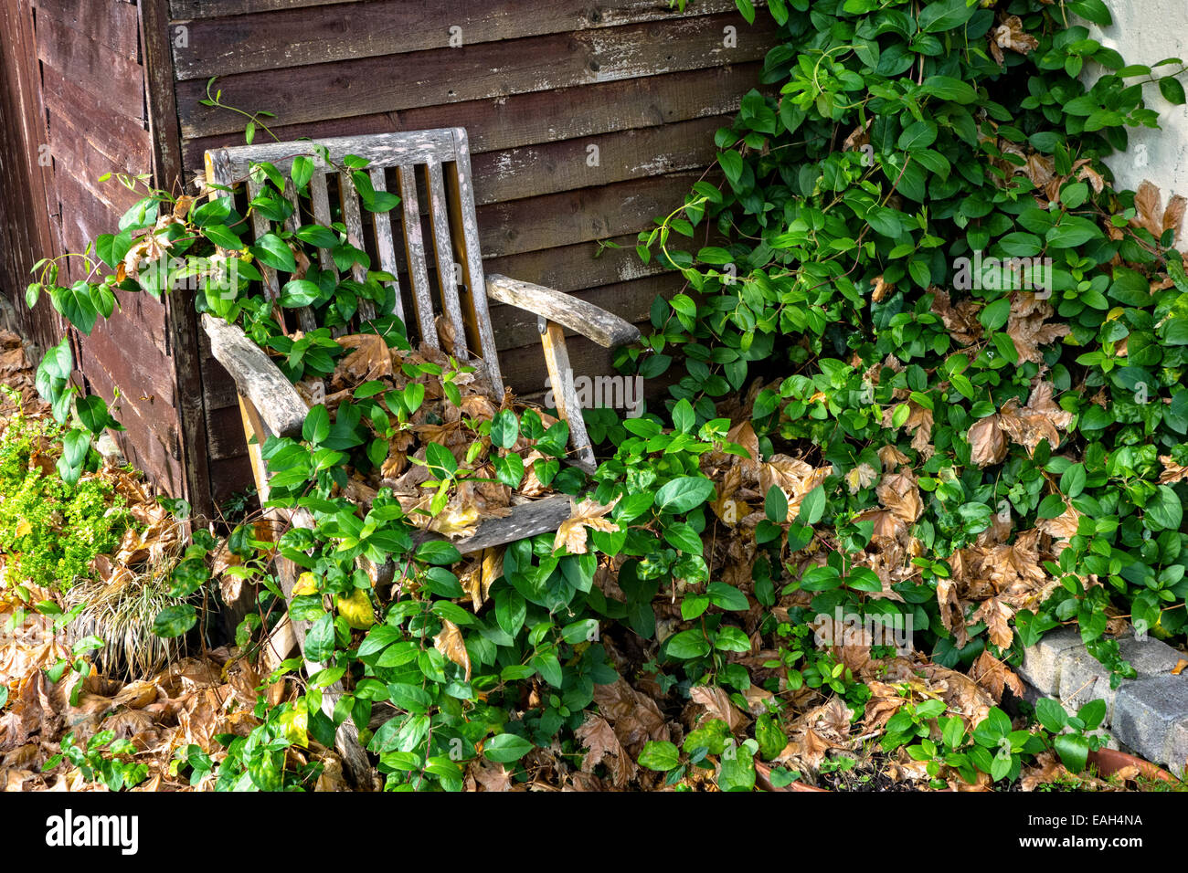 Plants are overgrown hi-res stock photography and images - Alamy