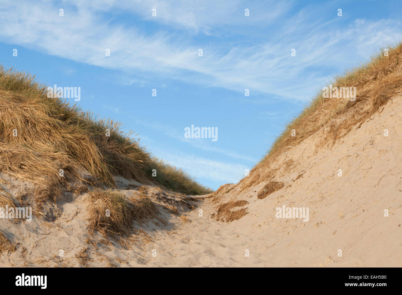North sea sand dunes hi-res stock photography and images - Alamy