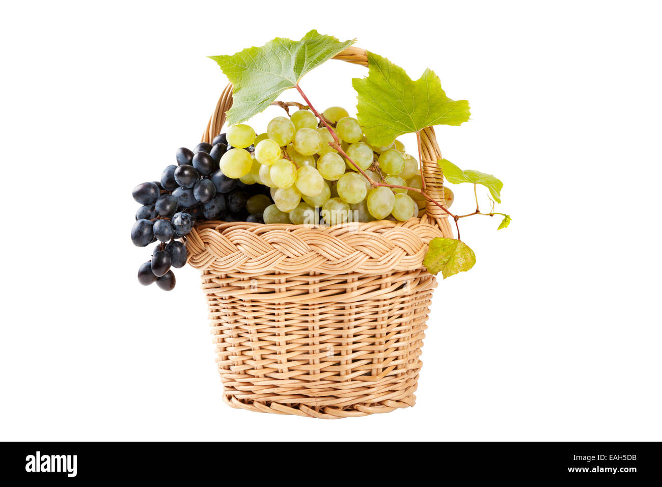 Leaves in white and green Cut Out Stock Images & Pictures - Alamy