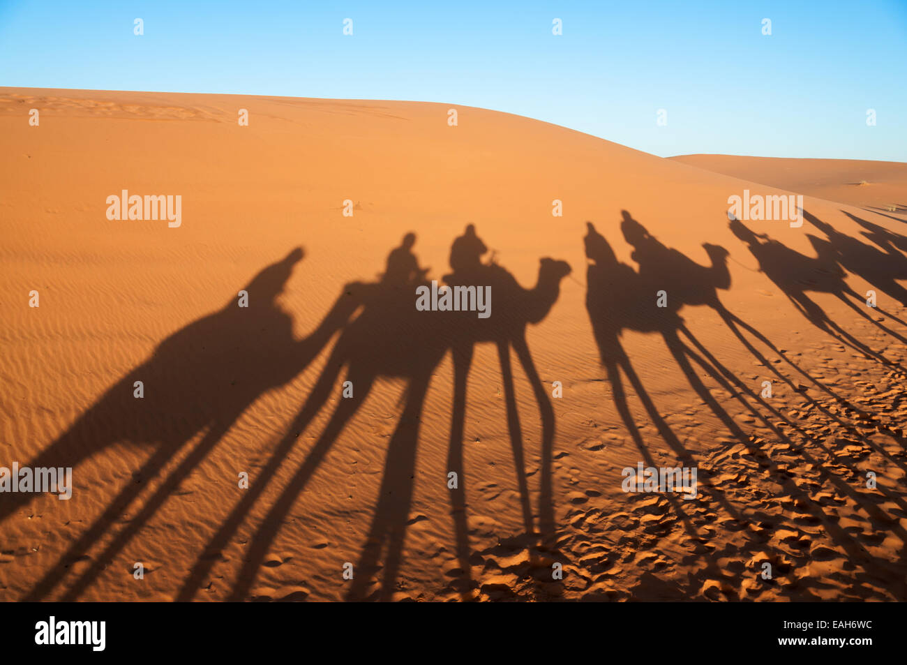 Caravan with tourists in the sahara desert. Morocco, Africa Stock Photo ...