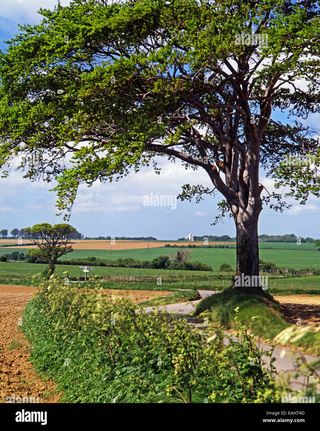 windmill in landscape Stock Photo - Alamy