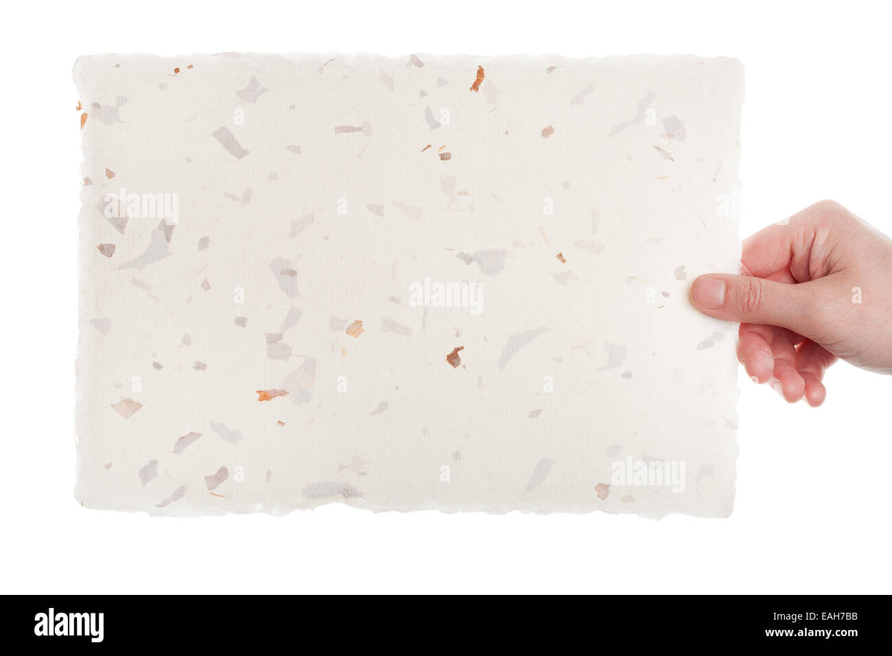 Handmade paper in woman hand isolated on white background Stock Photo ...