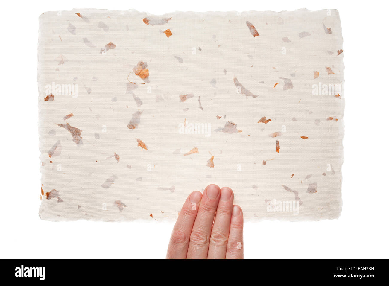 Handmade paper in woman hand isolated on white background Stock Photo ...