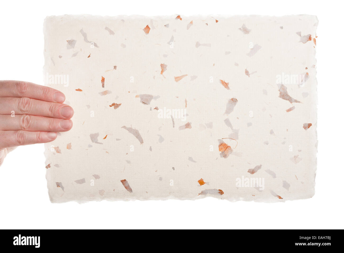 Handmade paper in woman hand isolated on white background Stock Photo ...