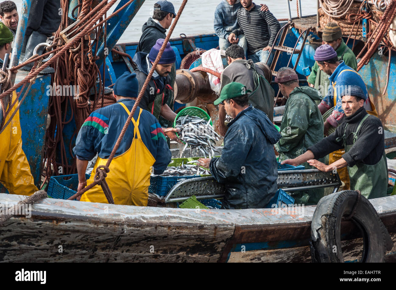 Unloading fish at port hi-res stock photography and images - Alamy