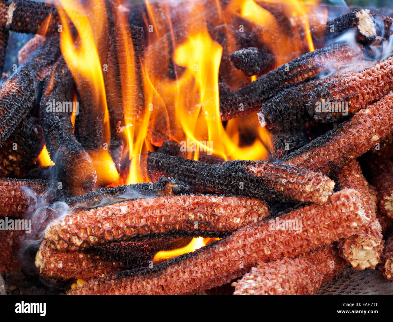 Agricultural waste hi-res stock photography and images - Alamy