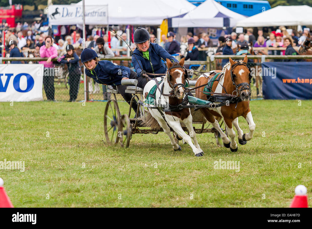 Carriage driving uk hi-res stock photography and images - Alamy