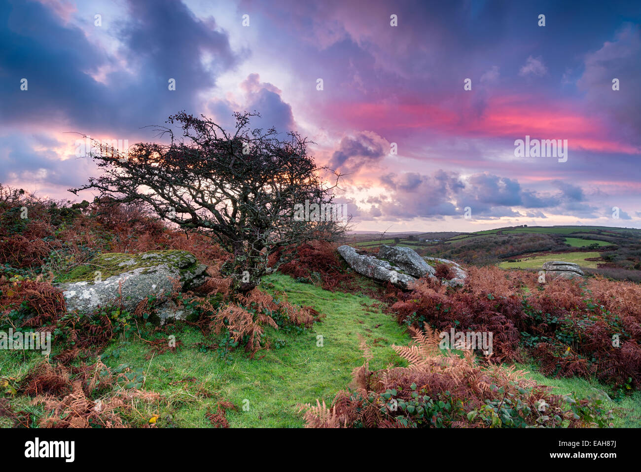 Beautiful dramatic sunrise over rugged moorland countryside at Helman ...