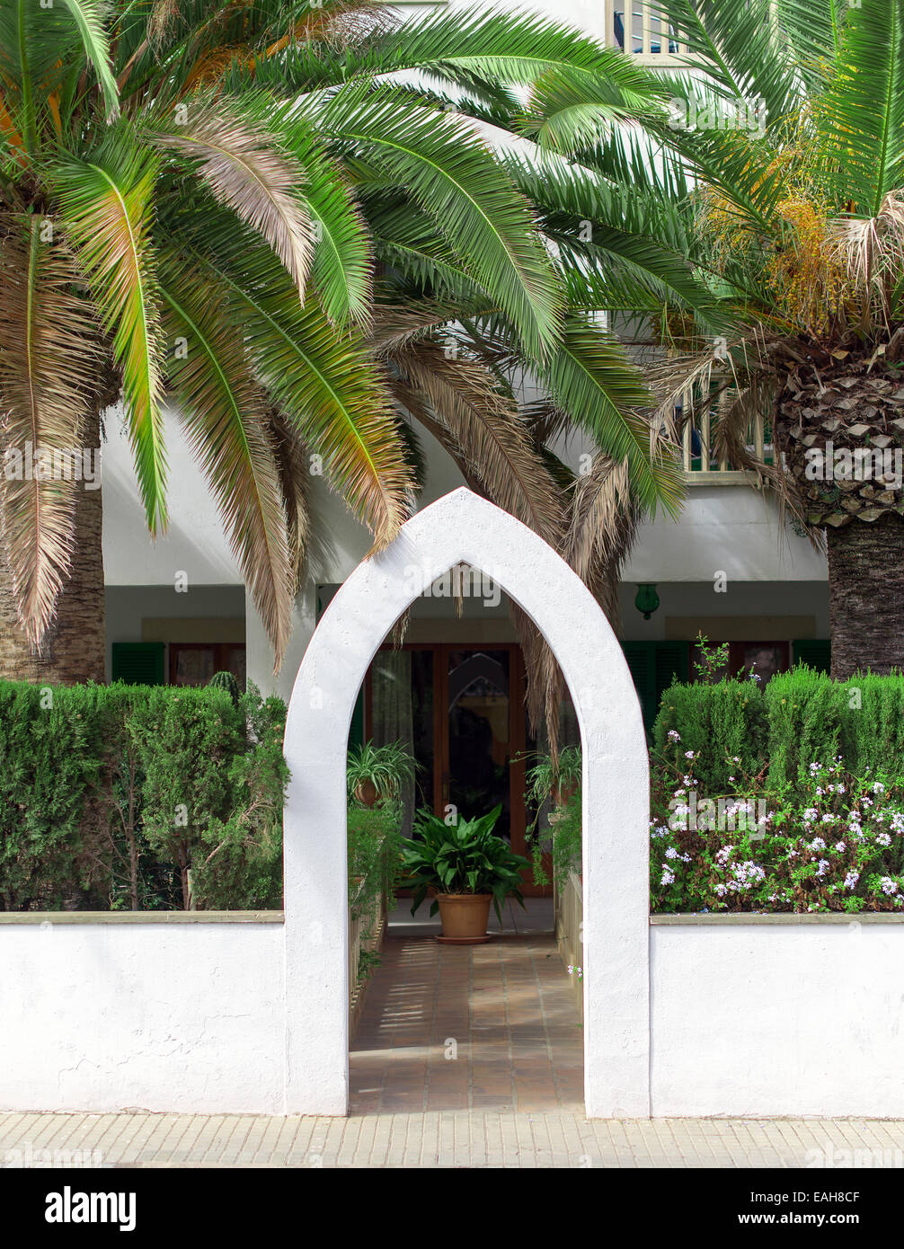 Entrance into the courtyard with palm trees Stock Photo - Alamy