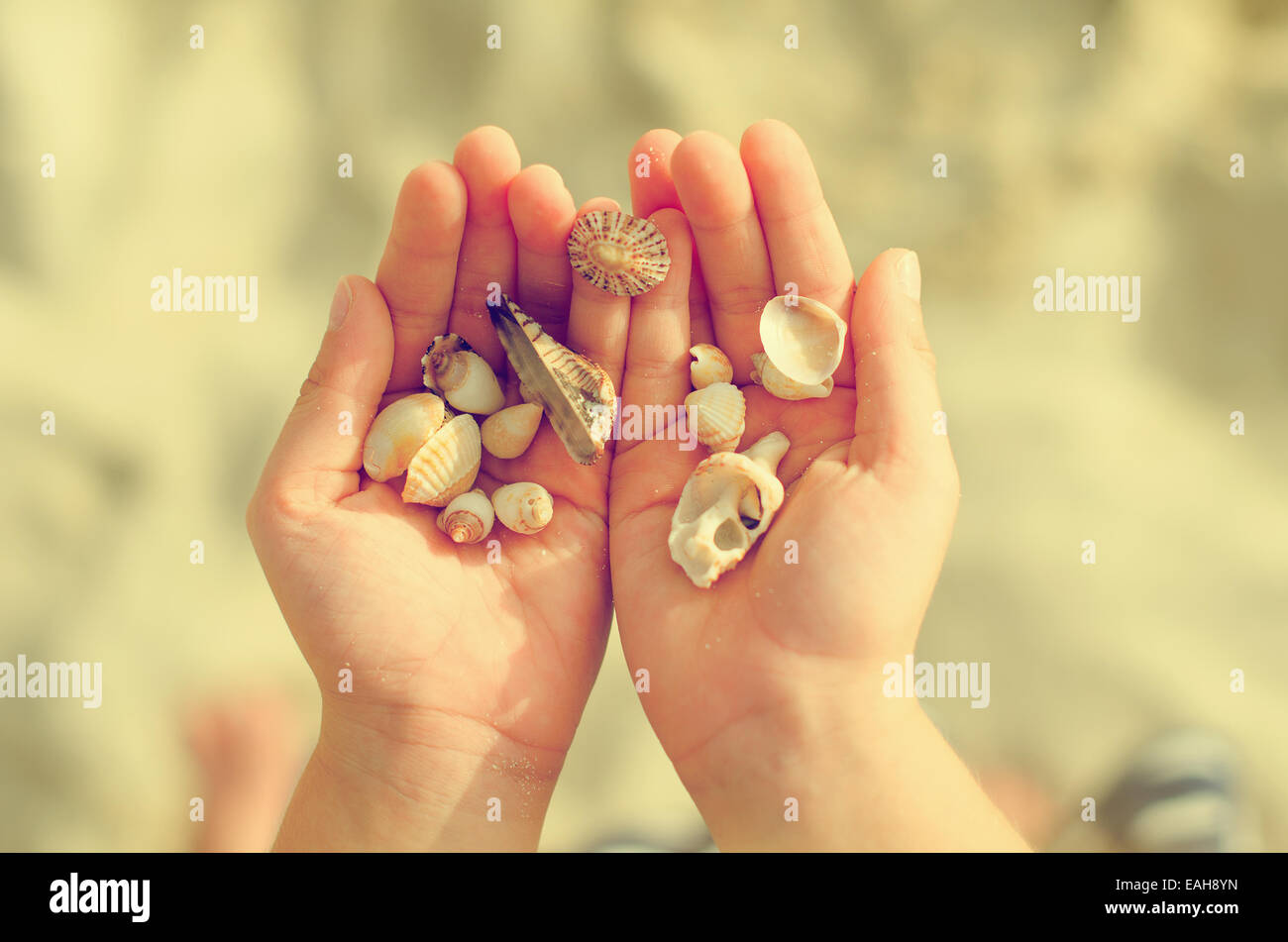 Child shell hi-res stock photography and images - Alamy