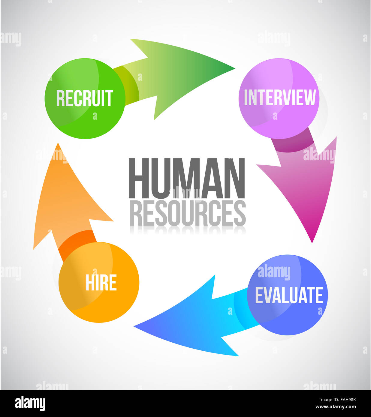Human resources color cycle illustration Stock Photo - Alamy