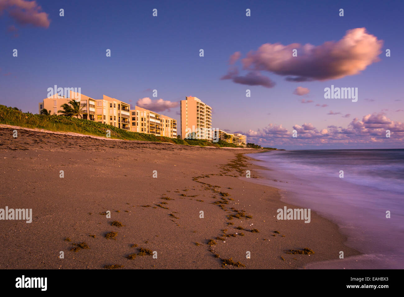Florida beachfront architecture hi-res stock photography and images - Alamy