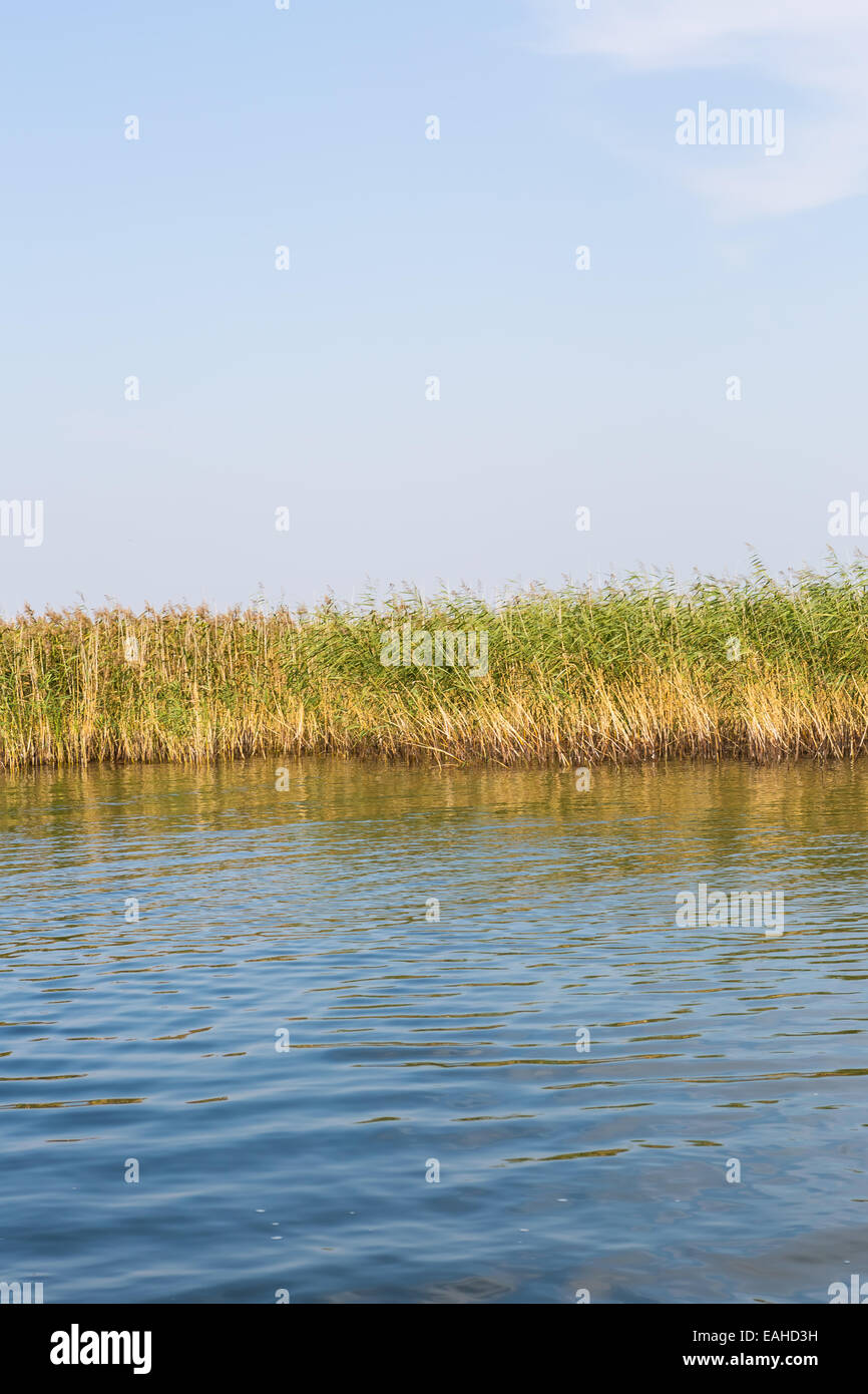 Mamry lake shore Stock Photo - Alamy