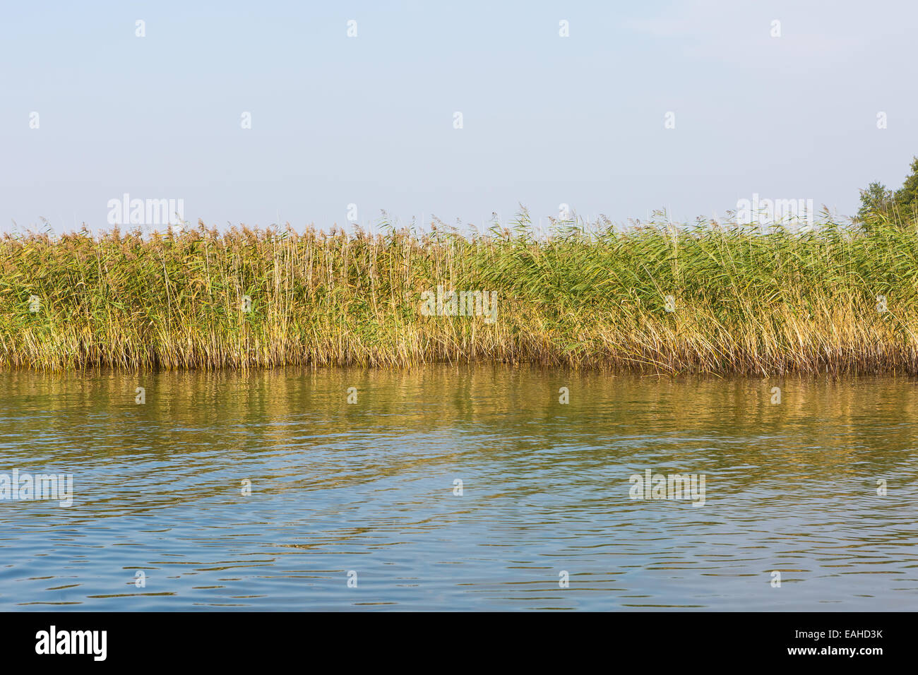 Mamry lake shore Stock Photo - Alamy