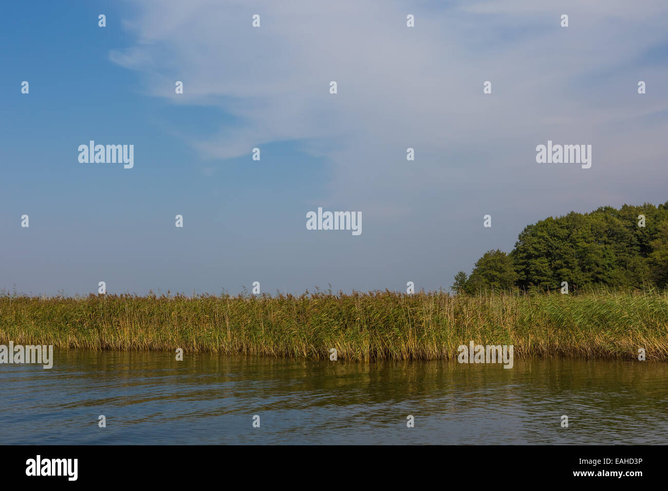 Mamry lake shore Stock Photo - Alamy