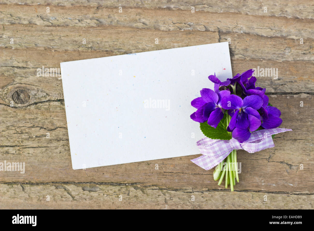 Bunch of violets hi-res stock photography and images - Alamy