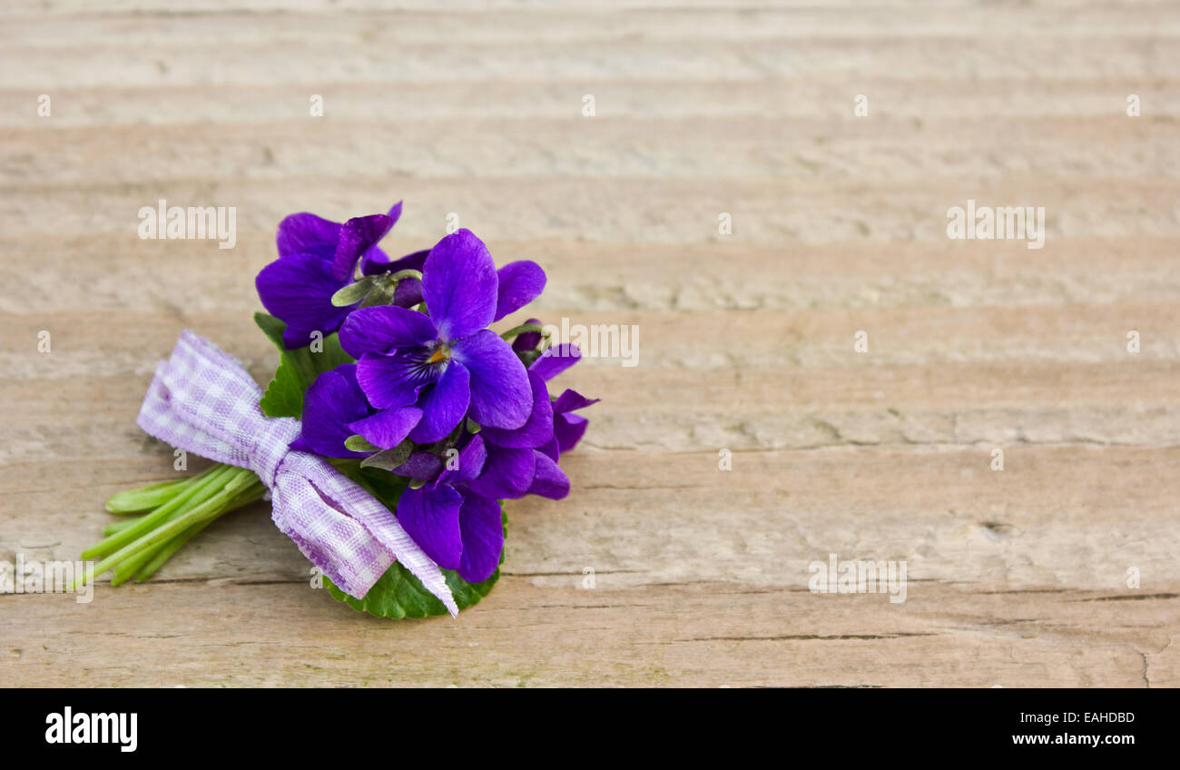 Violets spring flowers hi-res stock photography and images - Alamy