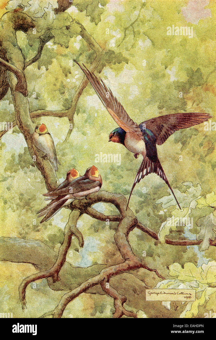 England 1910 hi-res stock photography and images - Alamy