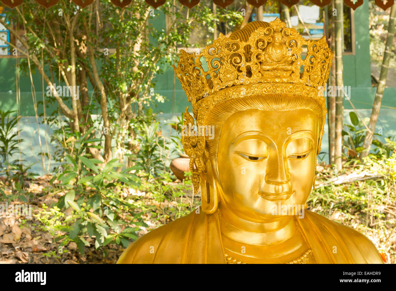 Smiling Chinese Golden Buddha Statue in background of nature Stock ...