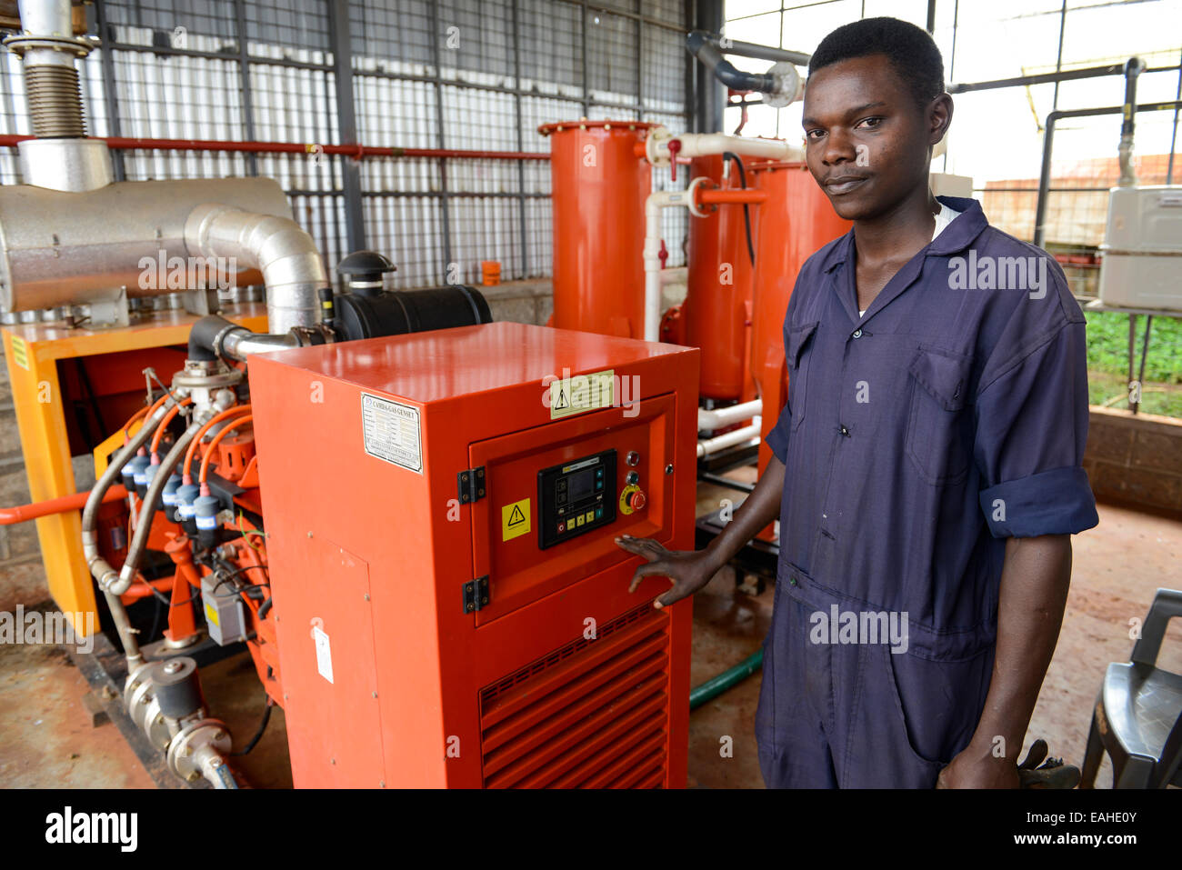 KENYA Thika near Nairobi, biogas plant of Simbi Roses farm, biogas ...