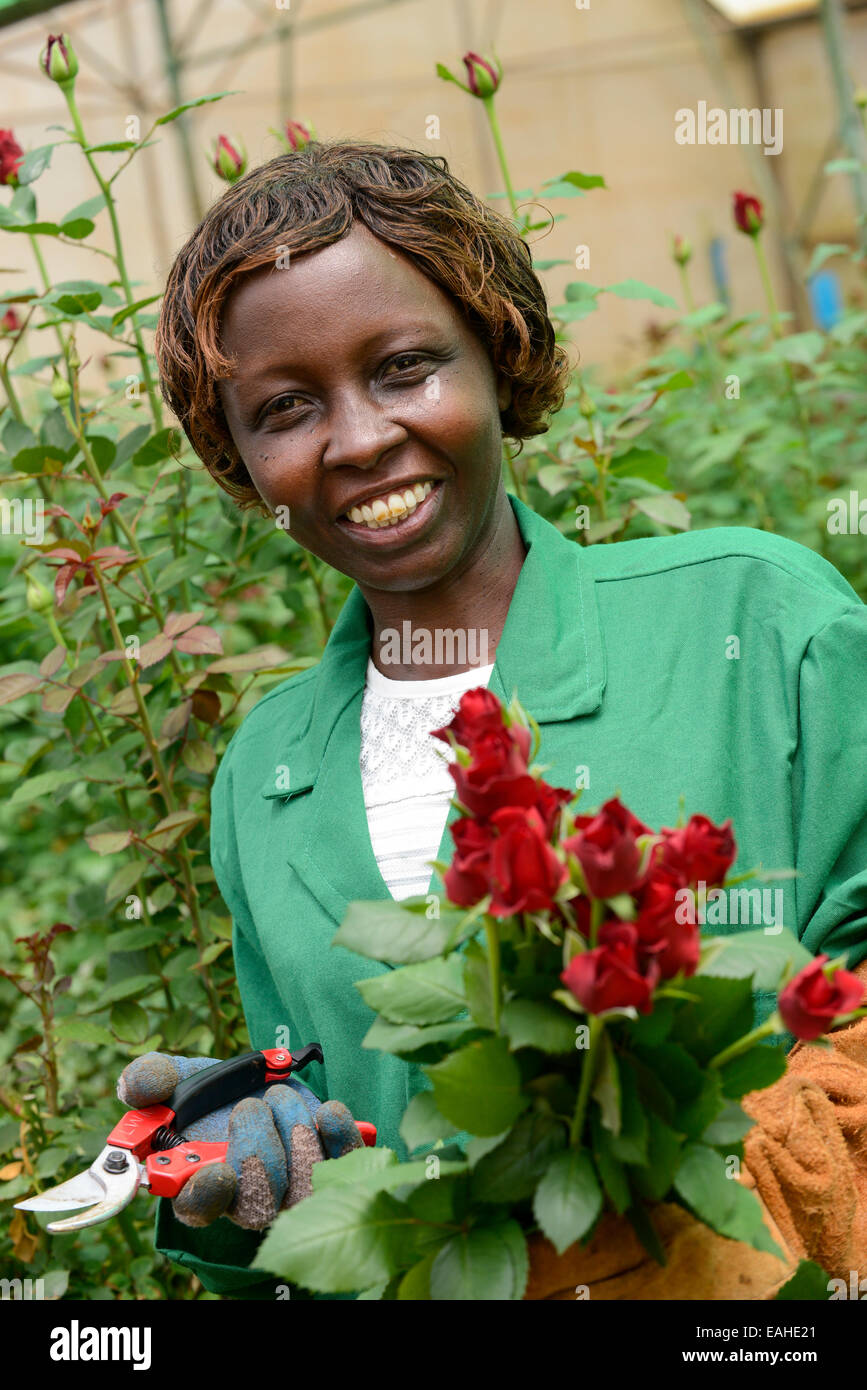 Kenya flowers farm hi-res stock photography and images - Alamy