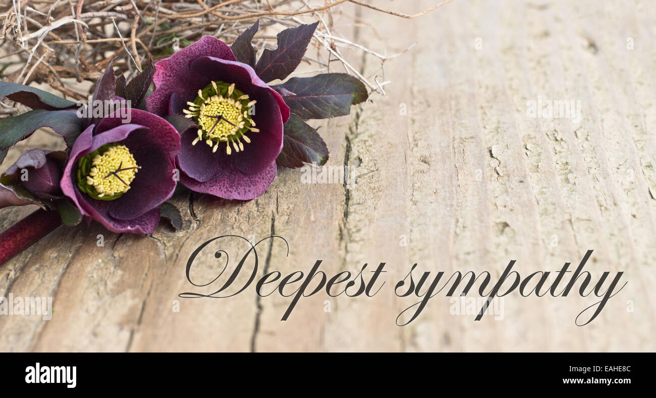 english mourning card with Dark Christroses Stock Photo - Alamy