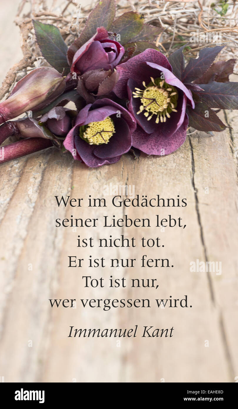 german mourning card with Dark Christroses Stock Photo - Alamy