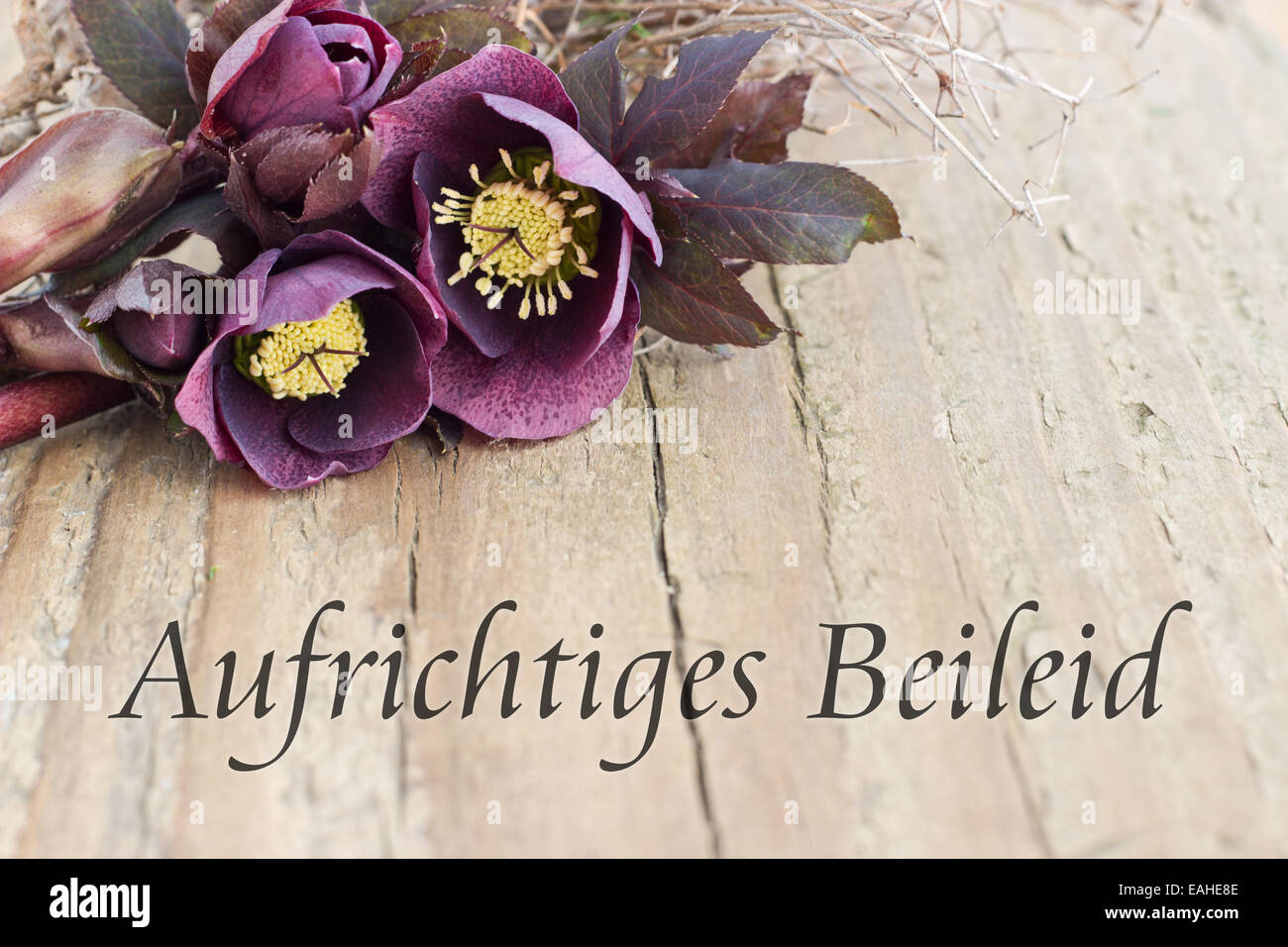 Mourning bouquet hi-res stock photography and images - Alamy