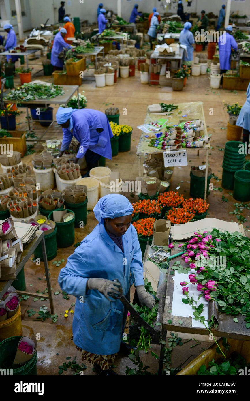 Transfair hi-res stock photography and images - Alamy