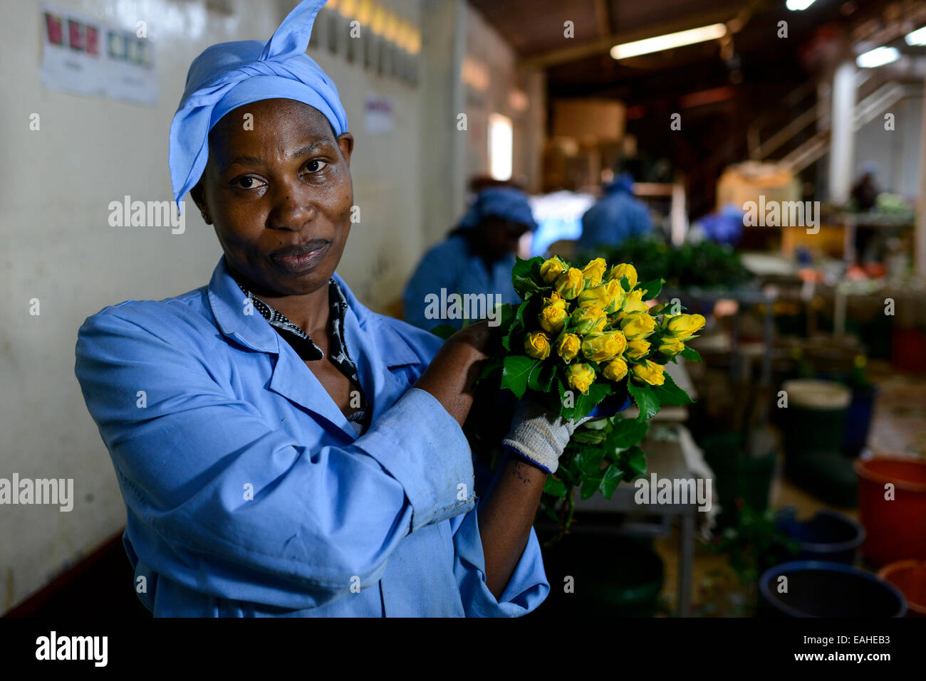 Kenya nairobi women working hi-res stock photography and images - Alamy