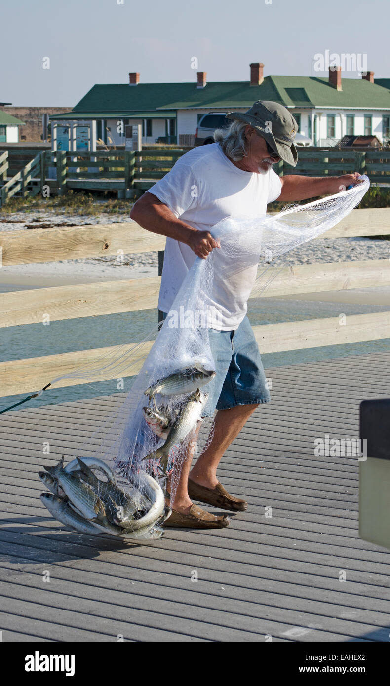 Fisherman's catch a casting net containing Mullet Gulf of Mexico ...