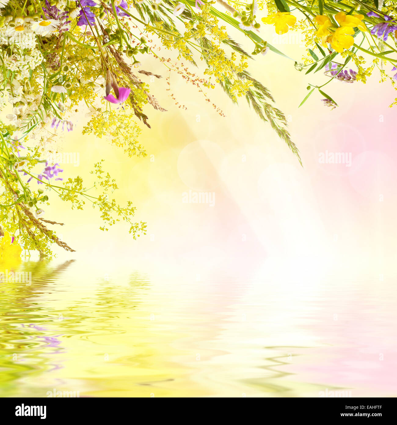 Floral easter background Stock Photo - Alamy
