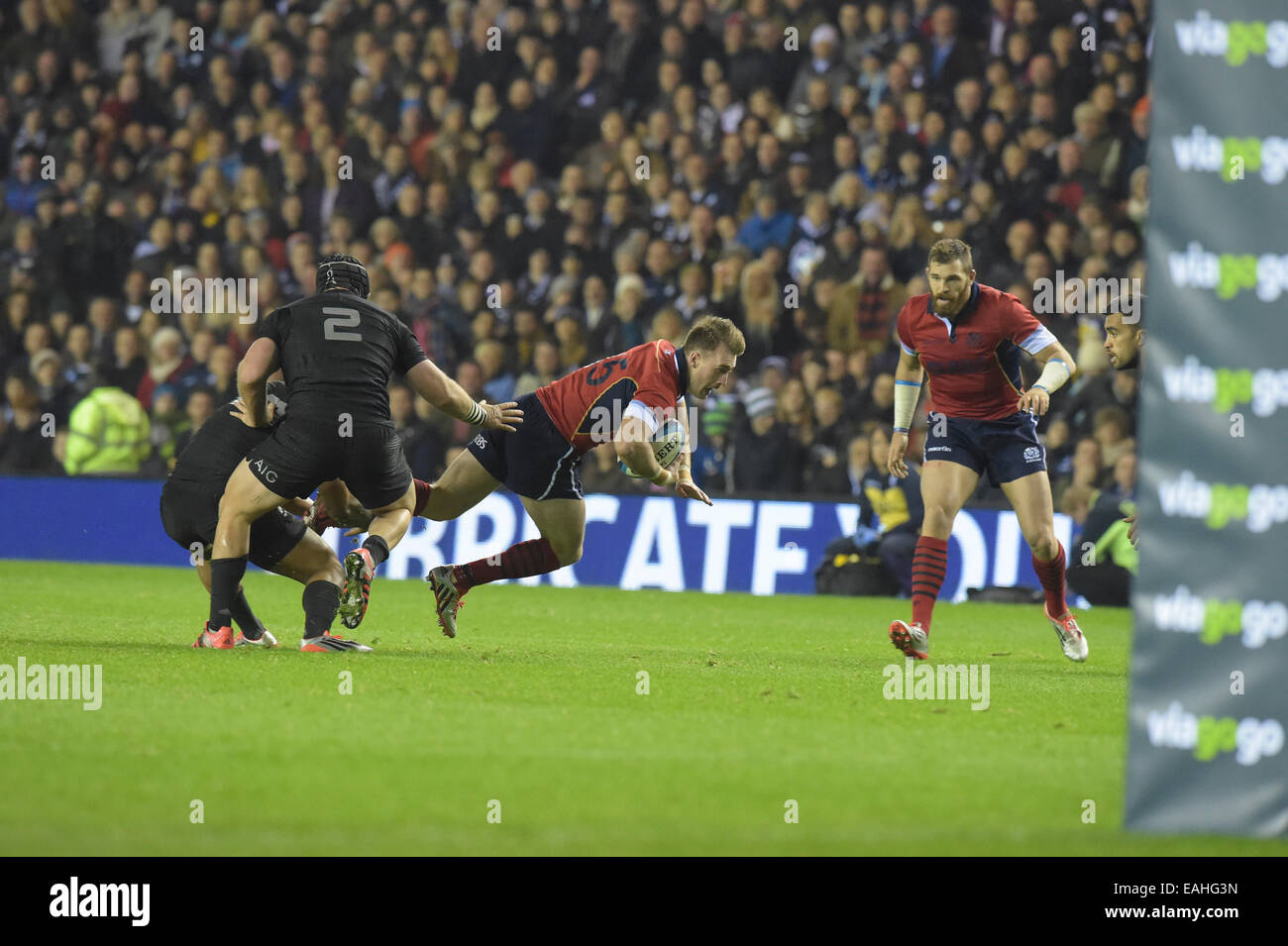 Viagogo autumn test hi-res stock photography and images - Alamy