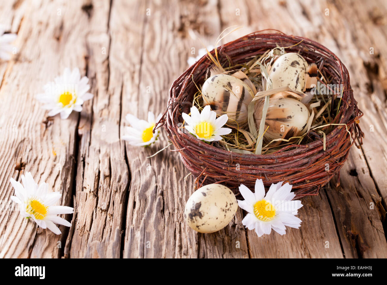 Traditional nest hi-res stock photography and images - Alamy
