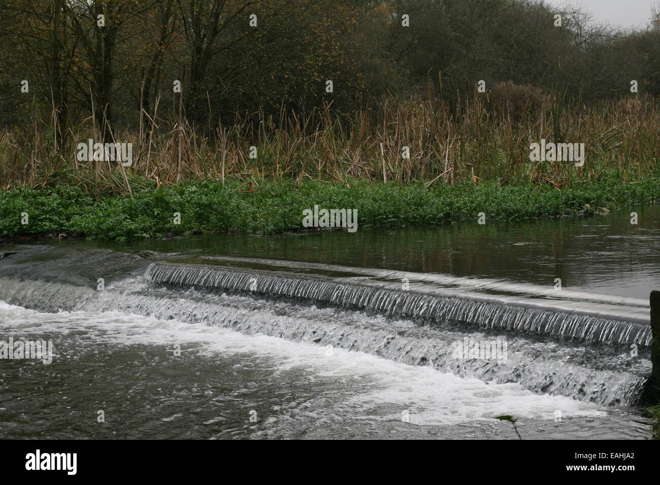 On the river colne hi-res stock photography and images - Alamy