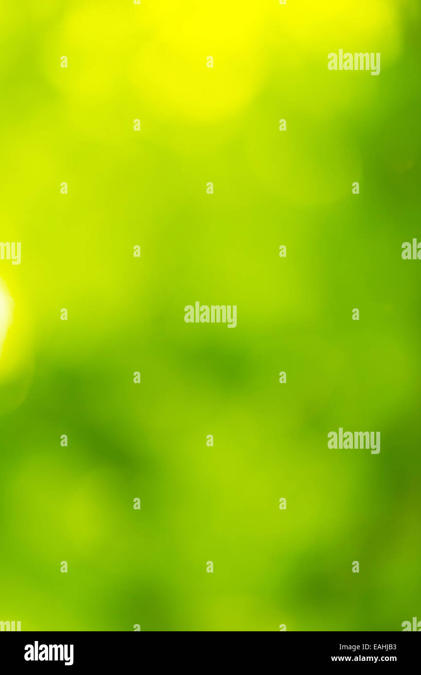 Nature forest bokeh background Stock Photo - Alamy