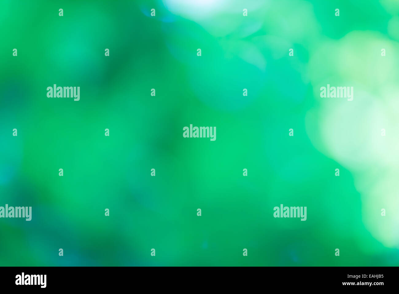 Nature forest bokeh background Stock Photo - Alamy