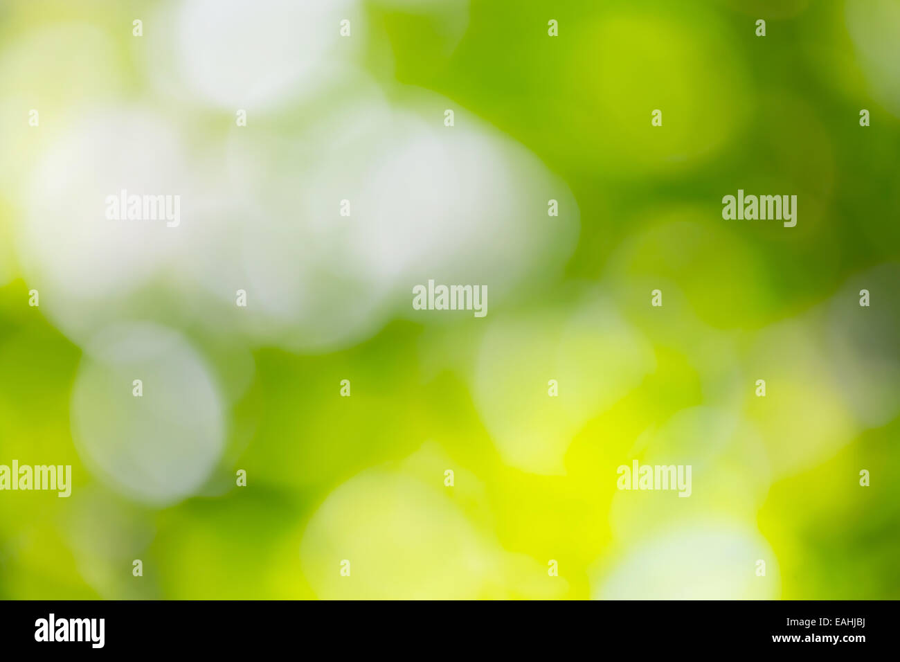 Nature forest bokeh background Stock Photo - Alamy
