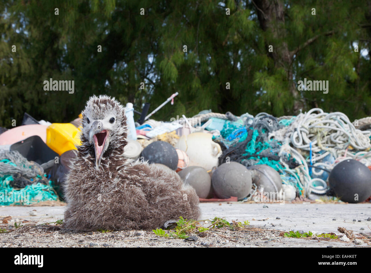 Great pacific garbage patch hi-res stock photography and images - Alamy