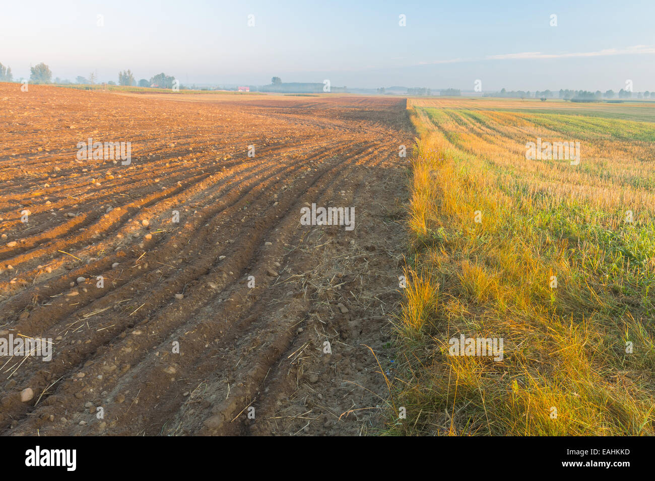 Landscape with plowed field at sunrise Stock Photo - Alamy