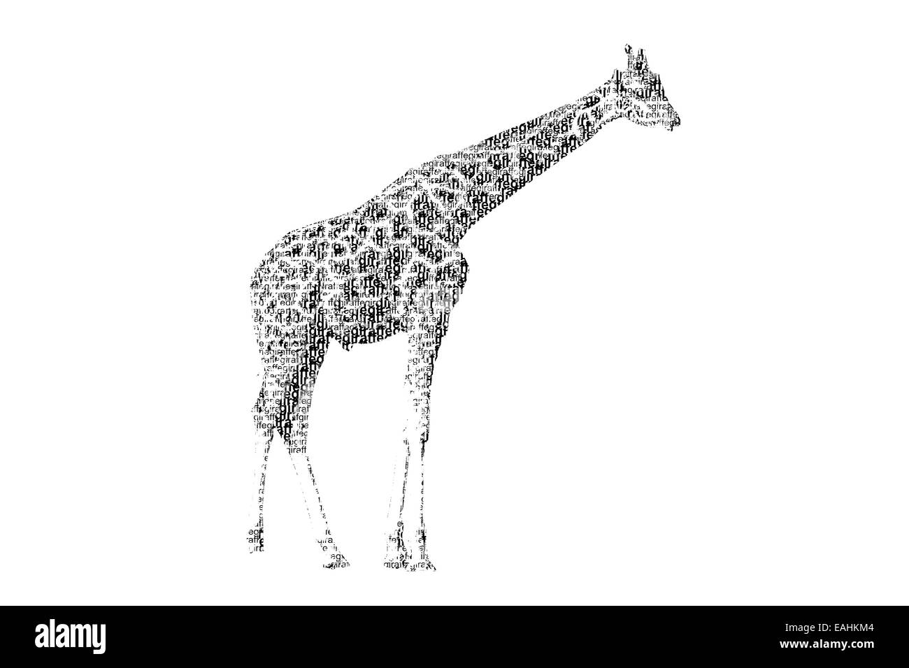 Giraffe typography hi-res stock photography and images - Alamy